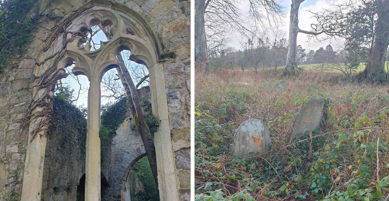 Finding the right place for me - Leedam Natural Burials