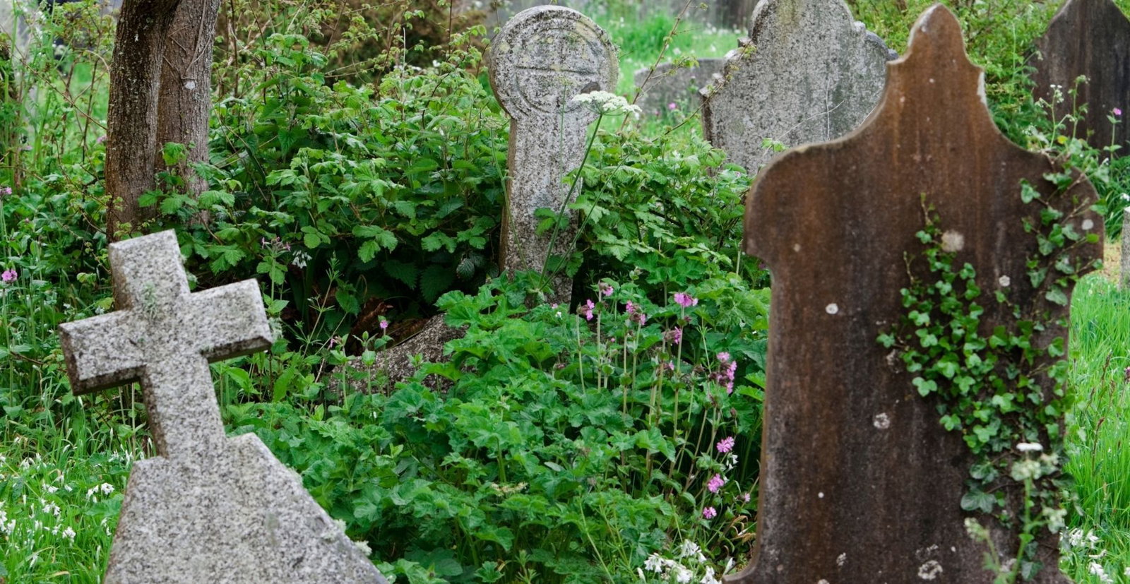 Finding the right place for me - Leedam Natural Burials