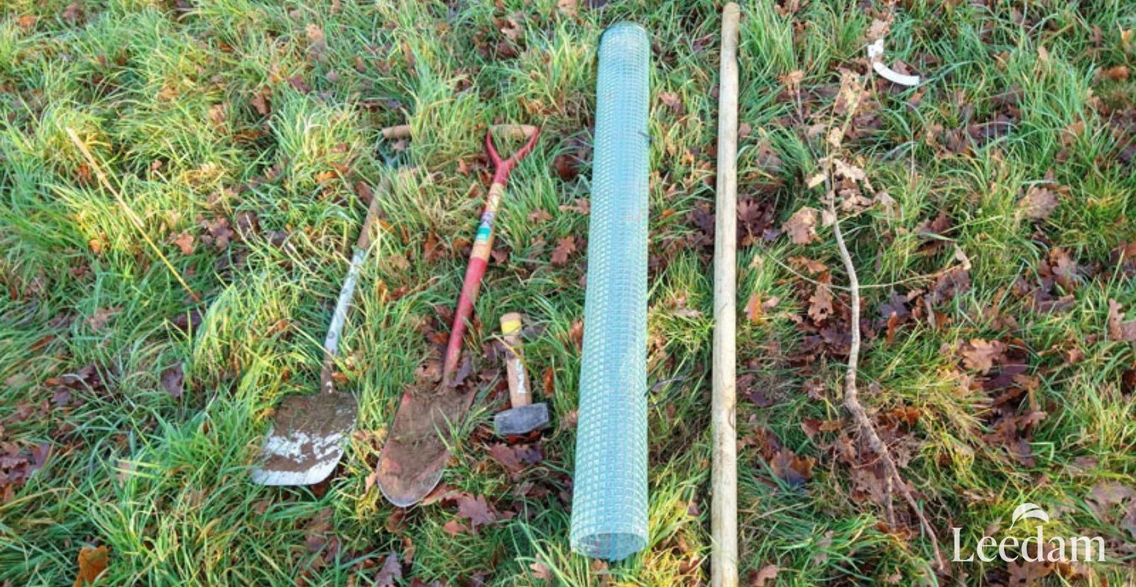 How to plant a memorial tree - a 6 step guide. - Leedam Natural Burials