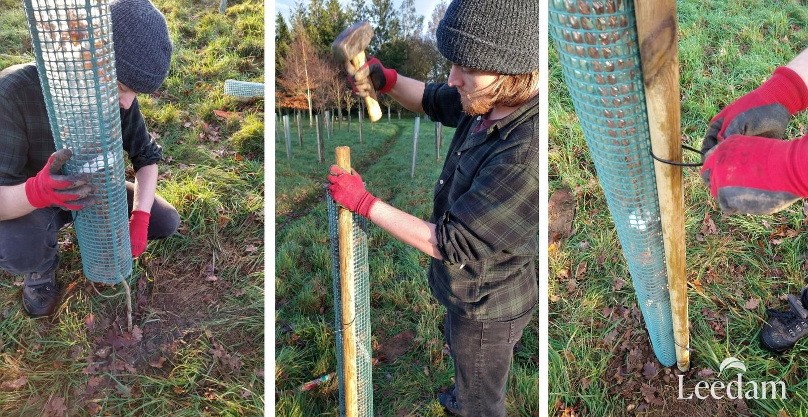 How to plant a memorial tree - a 6 step guide. - Leedam Natural Burials