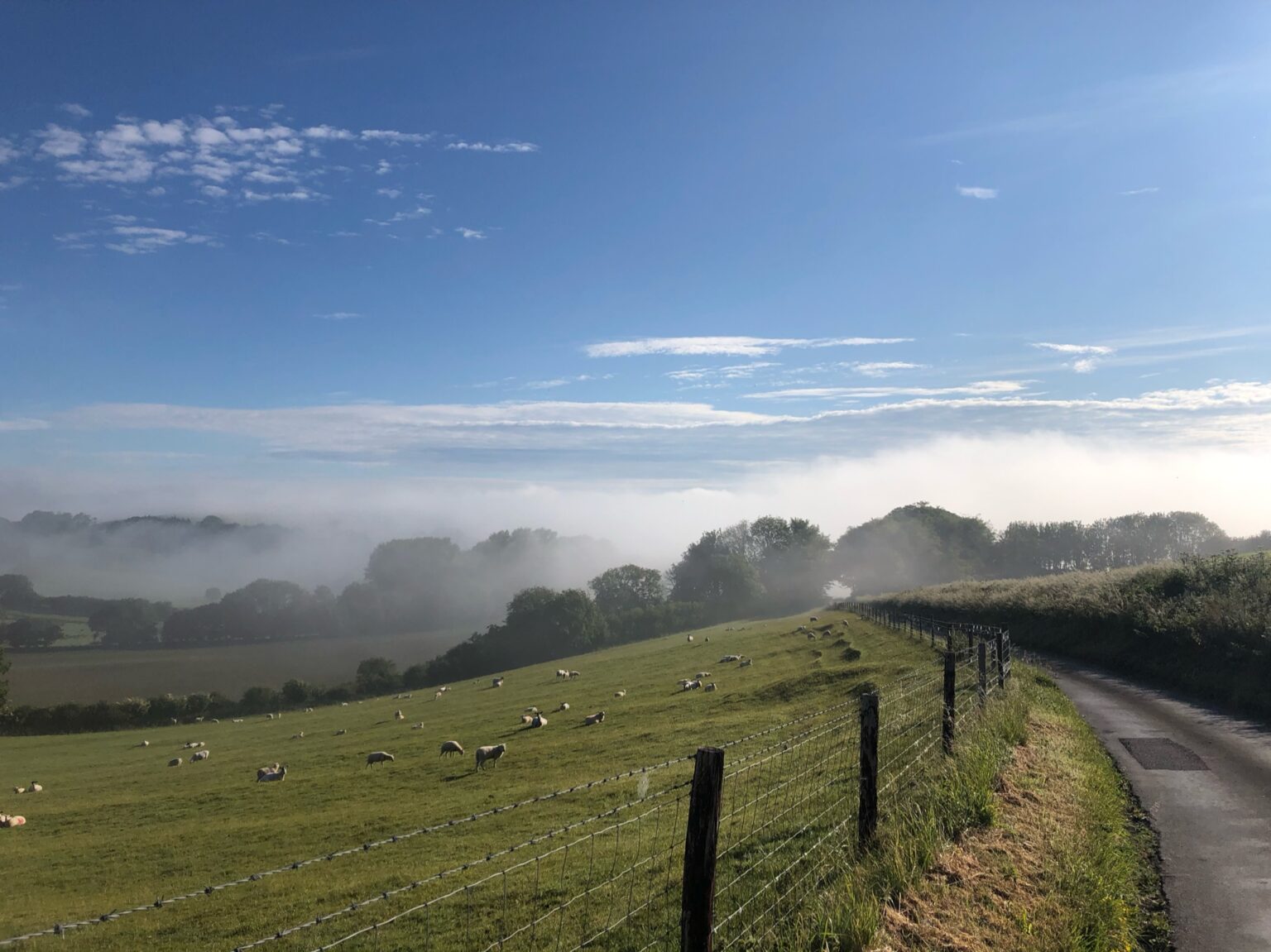 Forms and Prices - Dorset Downs Natural Burial Ground - Leedam