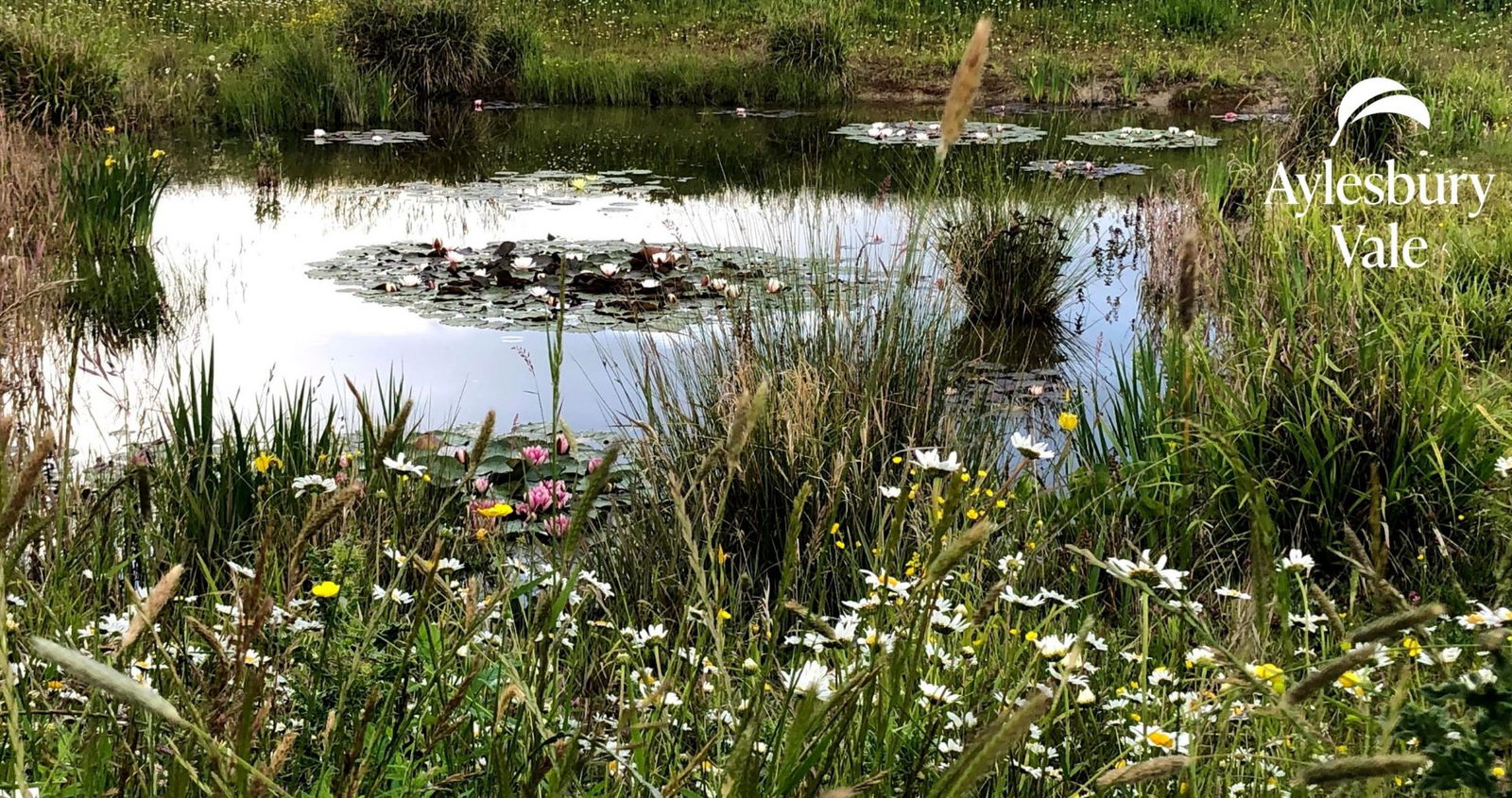 Natural memorials that are eco-friendly and down to earth - Leedam ...