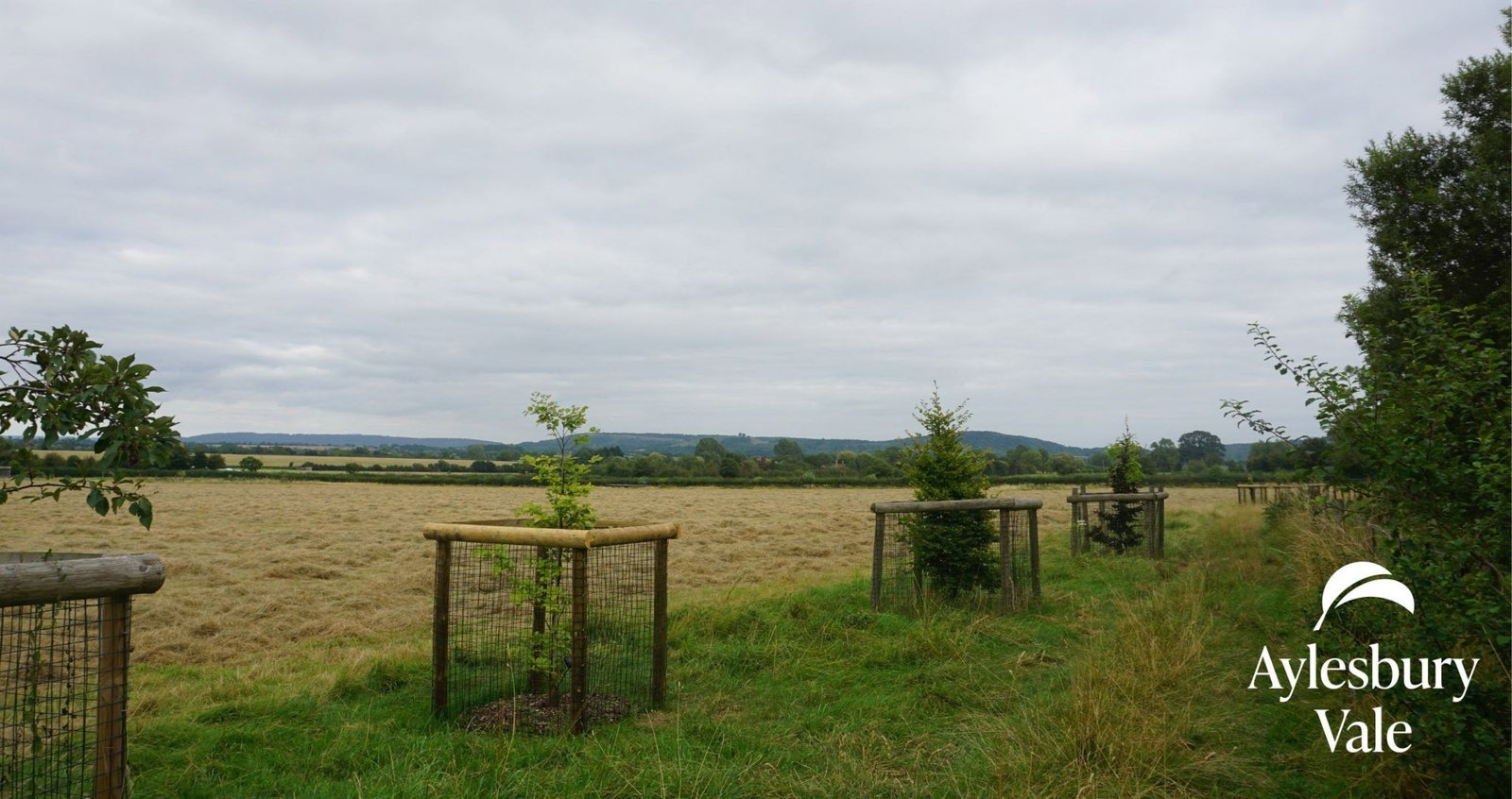 Natural memorials that are eco-friendly and down to earth - Leedam ...