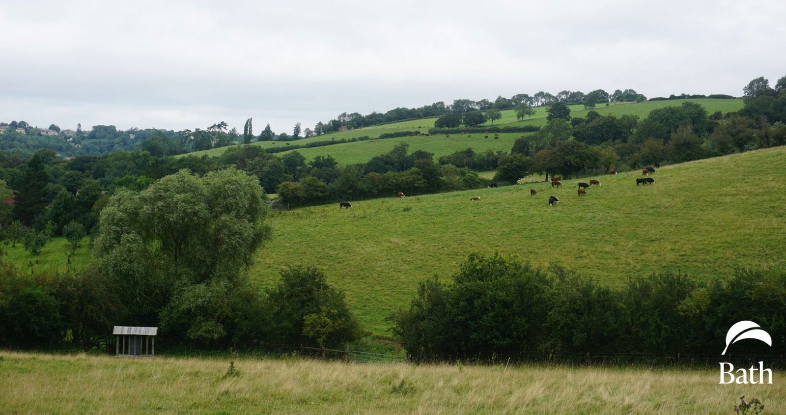Natural memorials that are eco-friendly and down to earth - Leedam ...