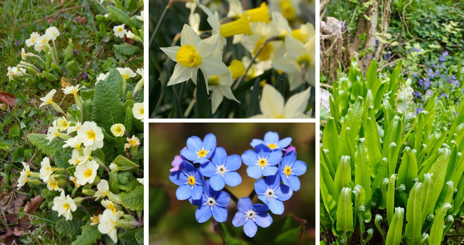 Natural memorials that are eco-friendly and down to earth - Leedam ...