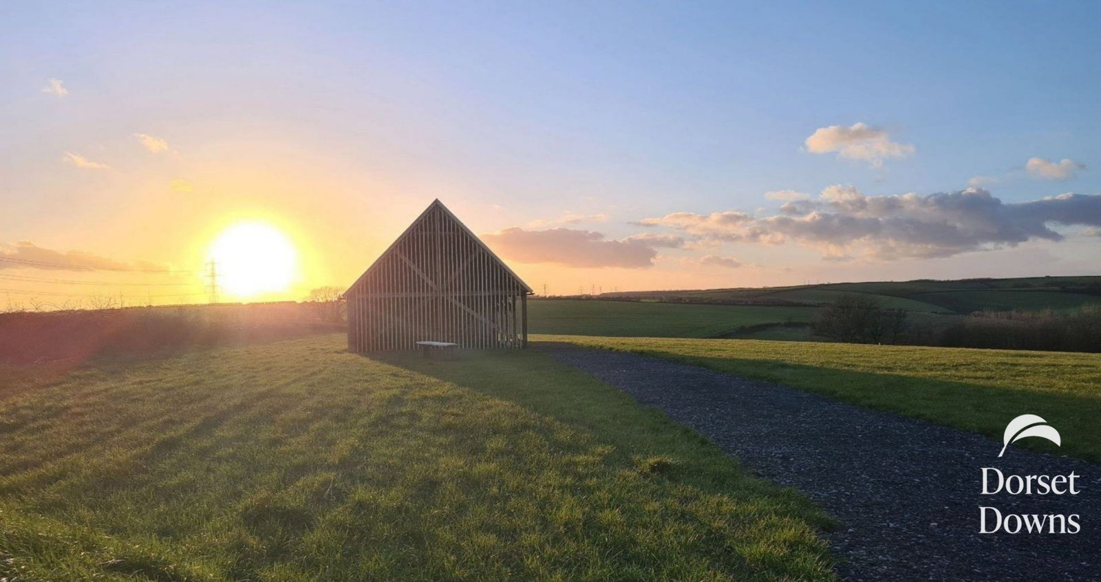 Natural memorials that are eco-friendly and down to earth - Leedam ...