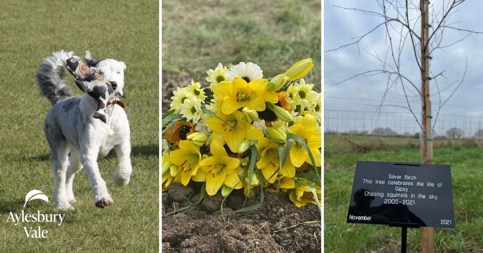 Making funerals and burial grounds pet friendly - Leedam Natural Burials