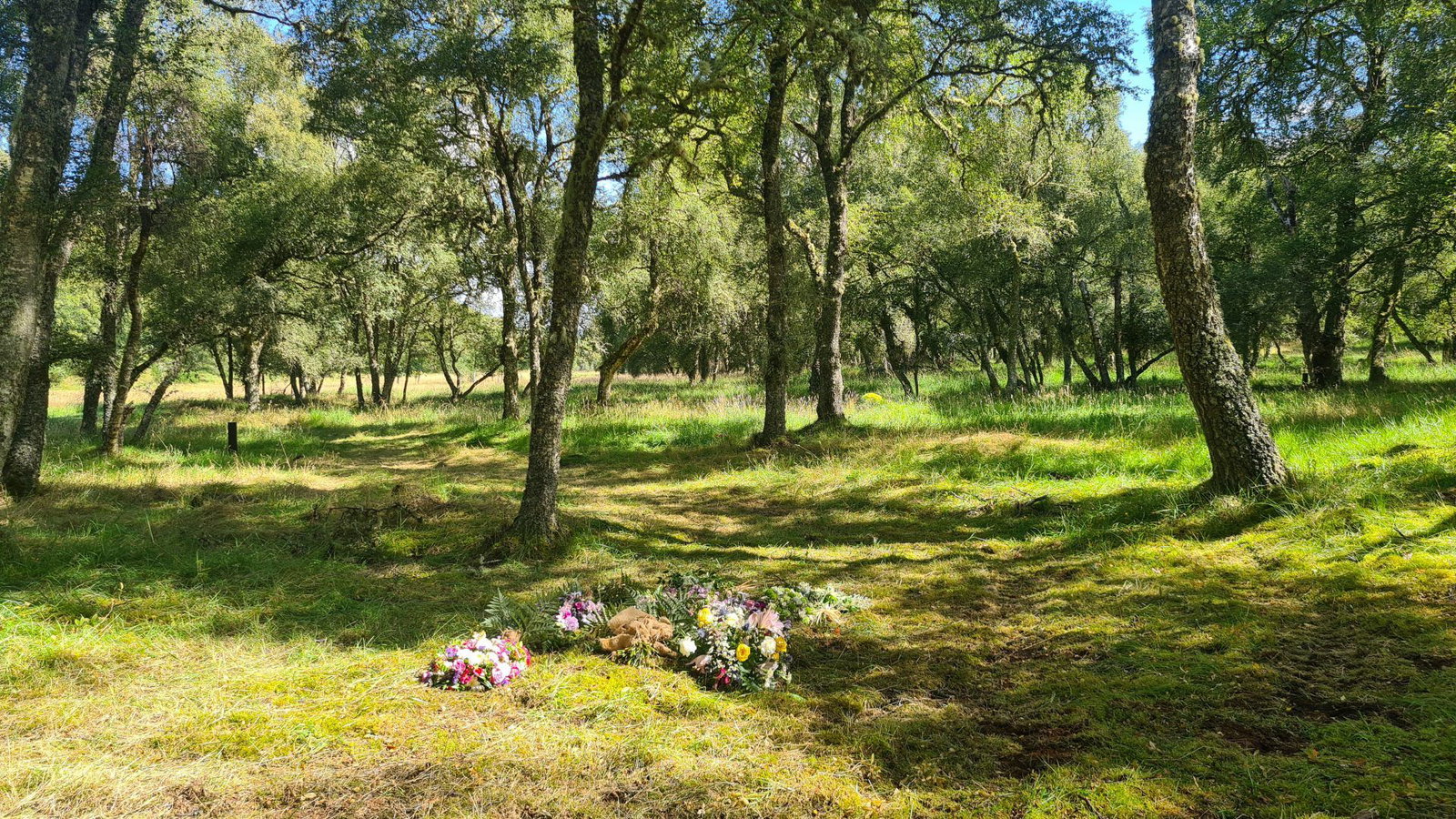 Non-Religious Funerals at Delliefure - Cothiemuir woodland Burial Ground